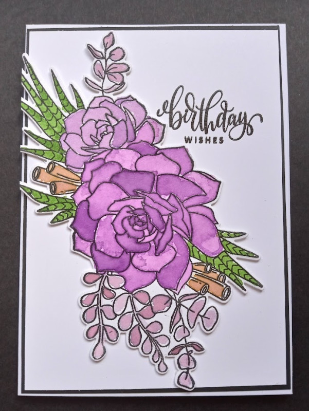 Succulent Birthday Wishes by lovinpaper at Splitcoaststampers