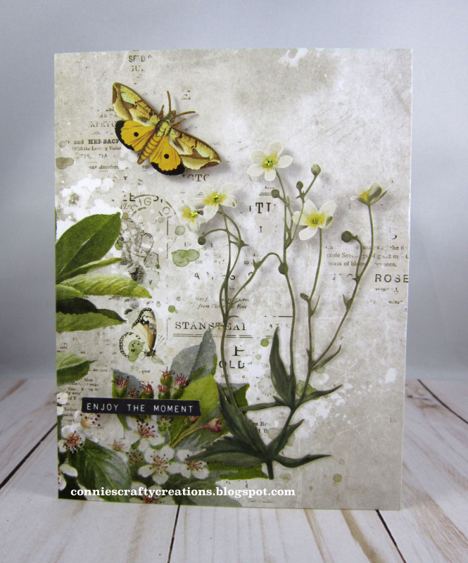 In the garden by Conniecrafter at Splitcoaststampers
