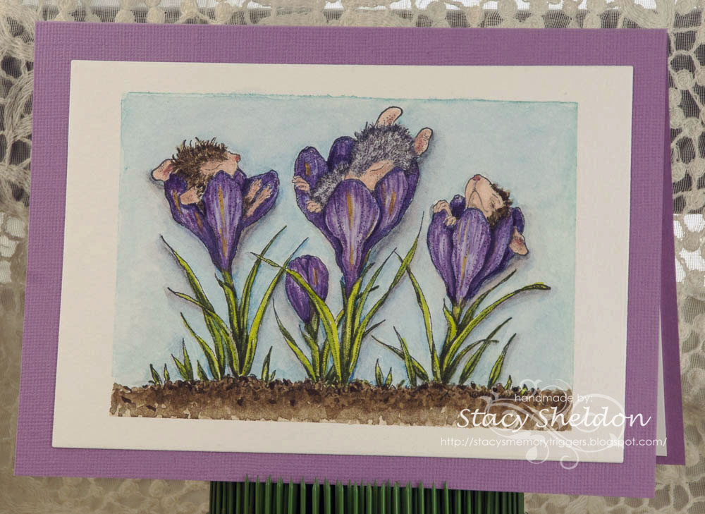 CAS837 Crocus Beds by JBgreendawn at Splitcoaststampers